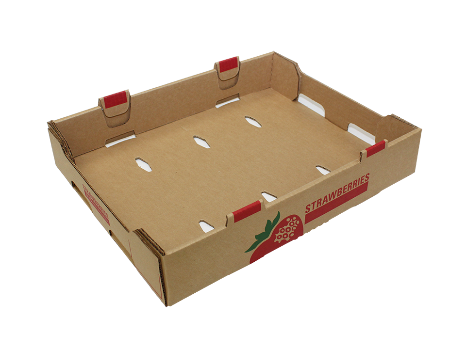 Tray Formers - 330 Series - Automatic Tray Forming Equipment | Wexxar